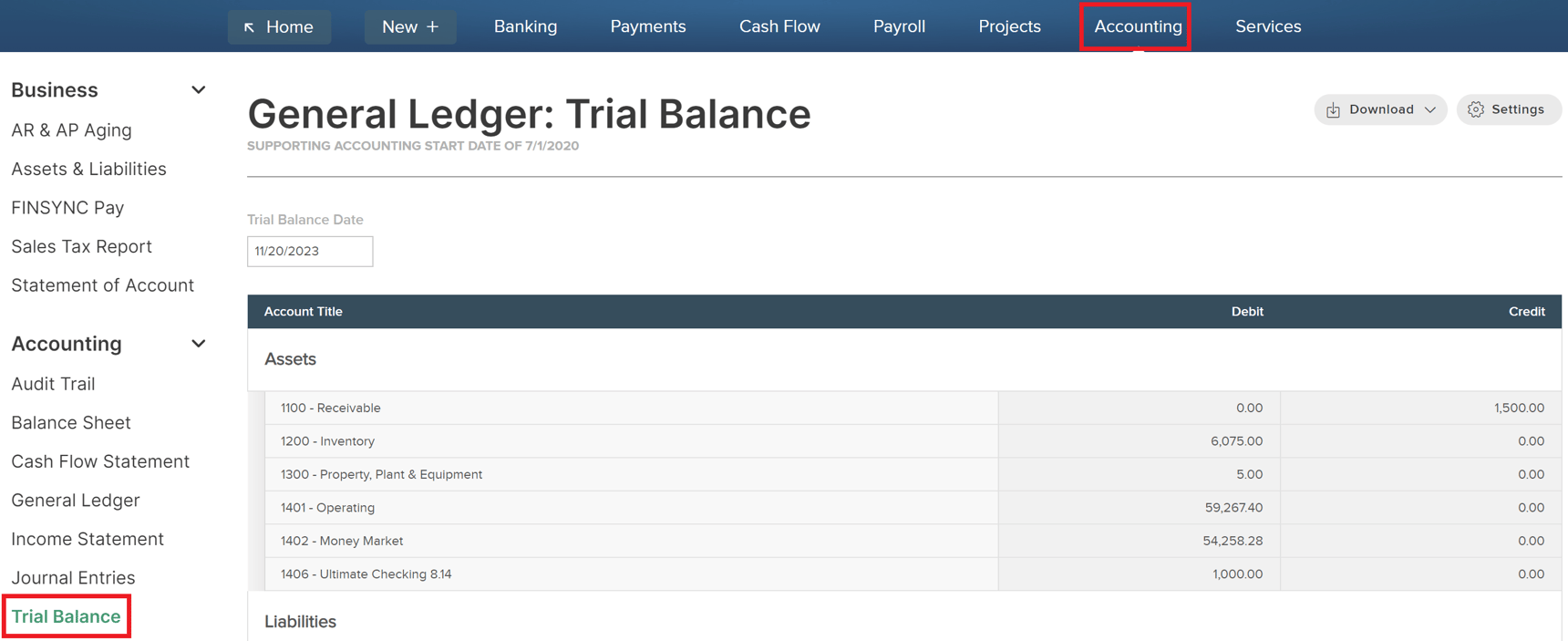 Overview of Trial Balance Report