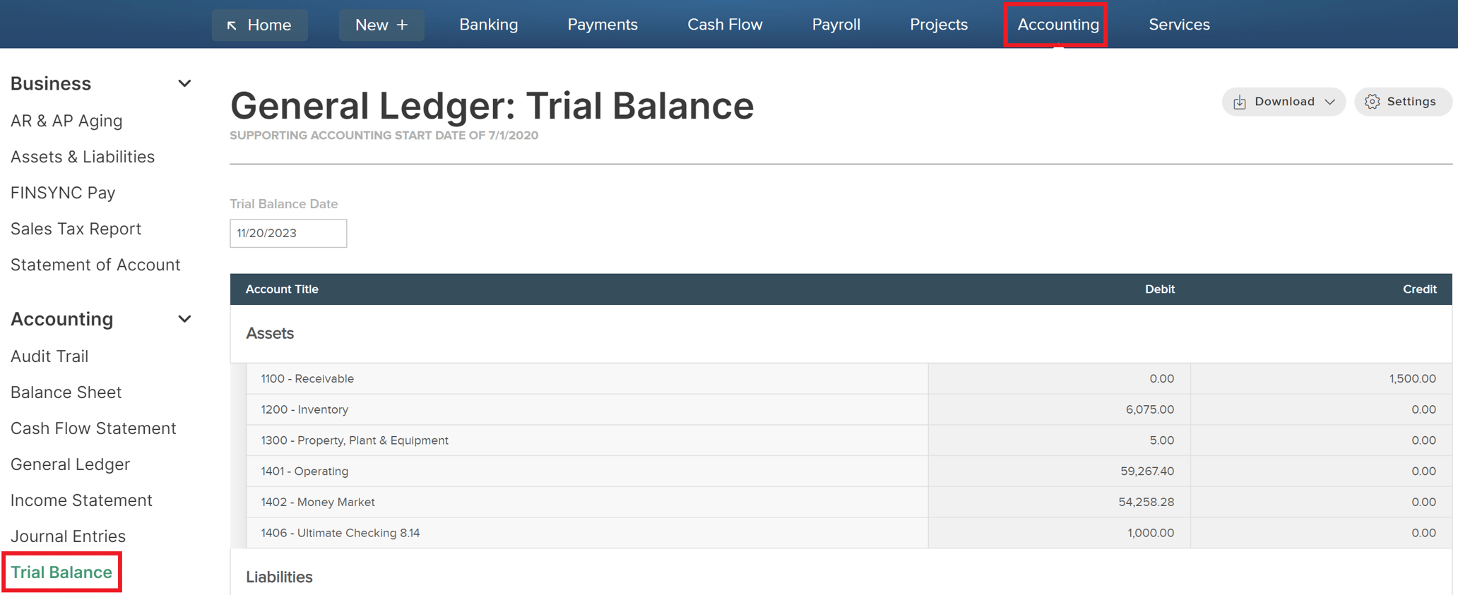 Overview of Trial Balance Report